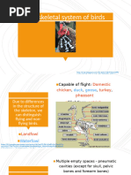 Chicken and Human Skeleton Comparison | PDF | Skeleton | Bone
