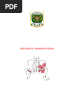 Anatomia da Região Glútea: Estruturas e Funções | PDF | Anatomia dos ...