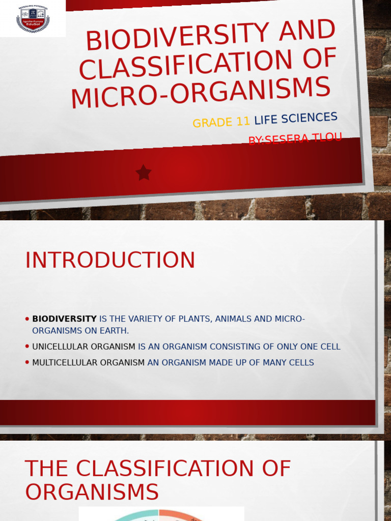 Biodiversity and Classification of Micro-Organisms | PDF | Science & Mathematics
