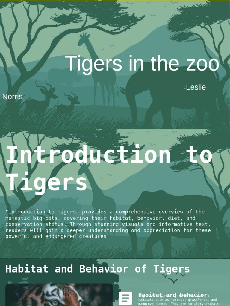 Tiger in the Zoo | PDF | Tiger | Zoo