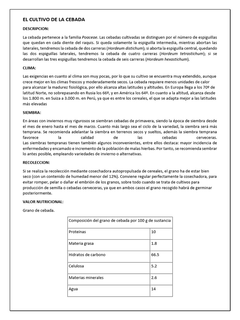 El Cultivo de La Cebada | PDF | Cebada | Cereales