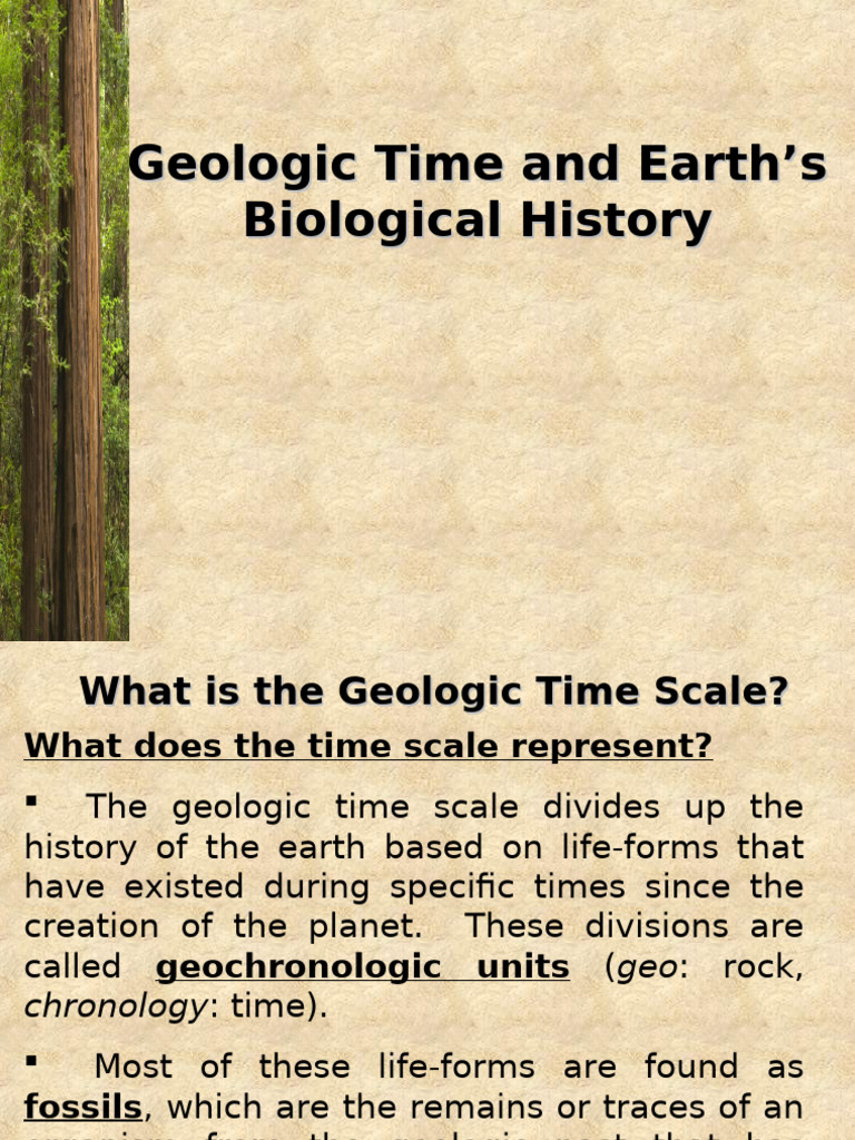 Understanding the Geologic Time Scale | PDF | Geologic Time Scale ...