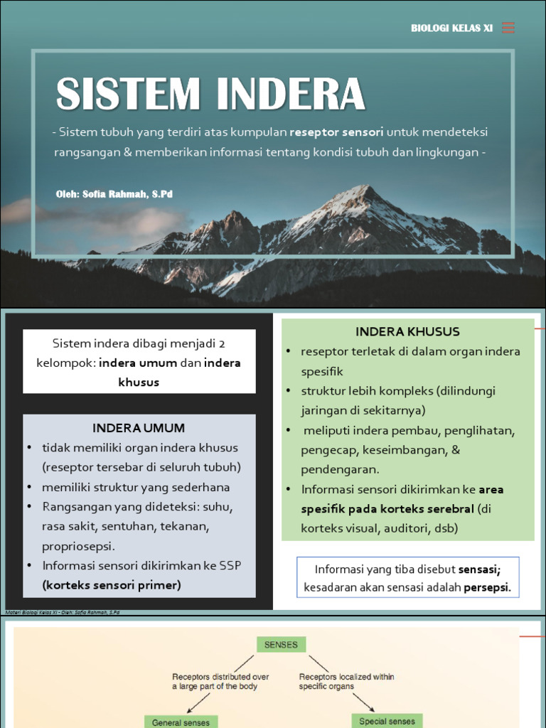 Sistem Indera Kelas XI FULL | PDF | Pengembangan Diri | Sains & Matematika