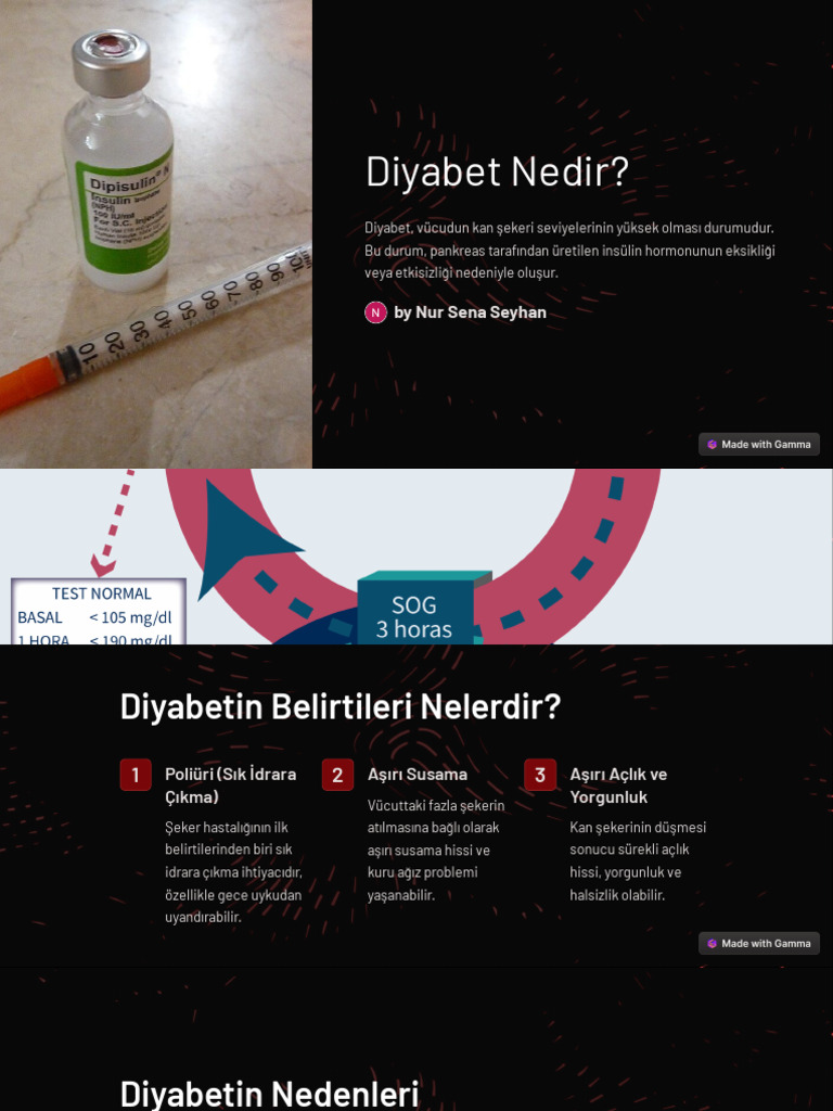 Diyabet Nedir | PDF