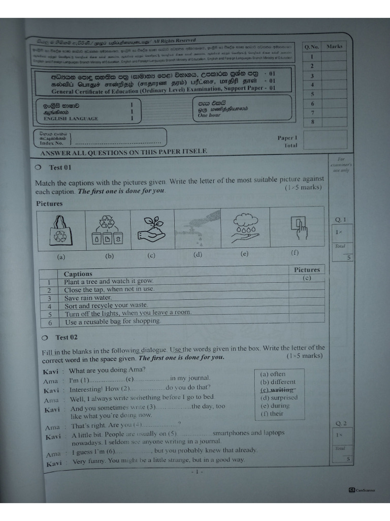 OL English Model Paper 1 Part I | PDF