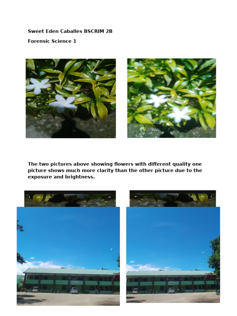 Sweet Eden Caballes BSCRIM 2B Forensic Science 1 | PDF