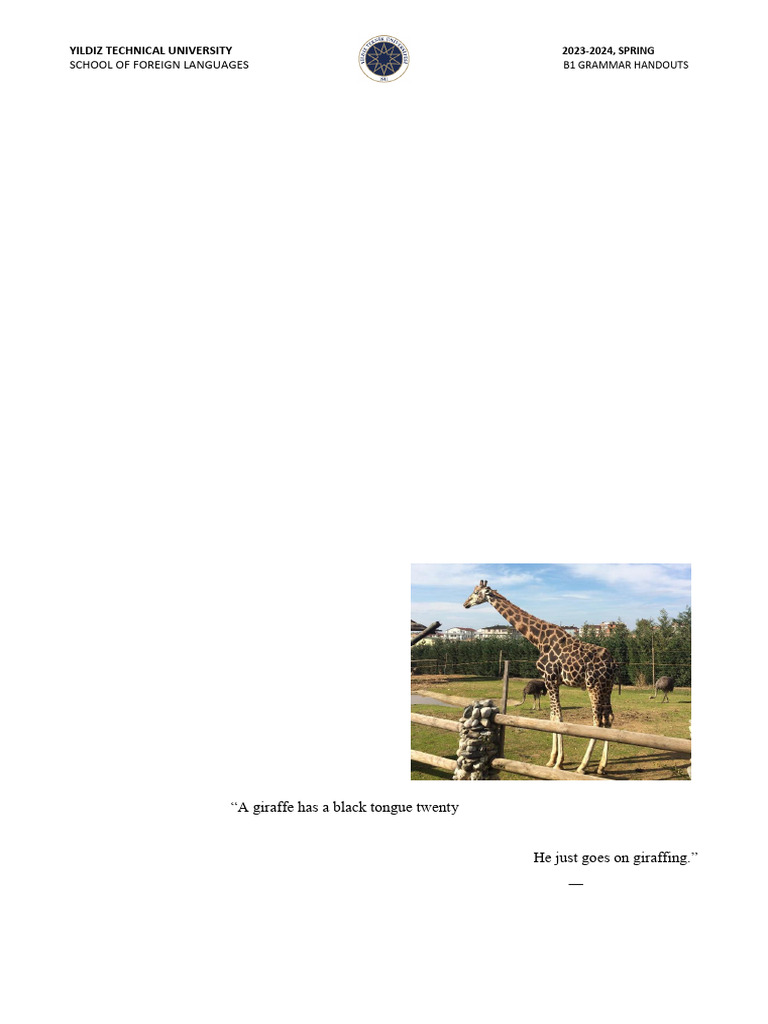 2023-2024 Spring B1 Grammar Handouts TC | PDF | Question | Noun