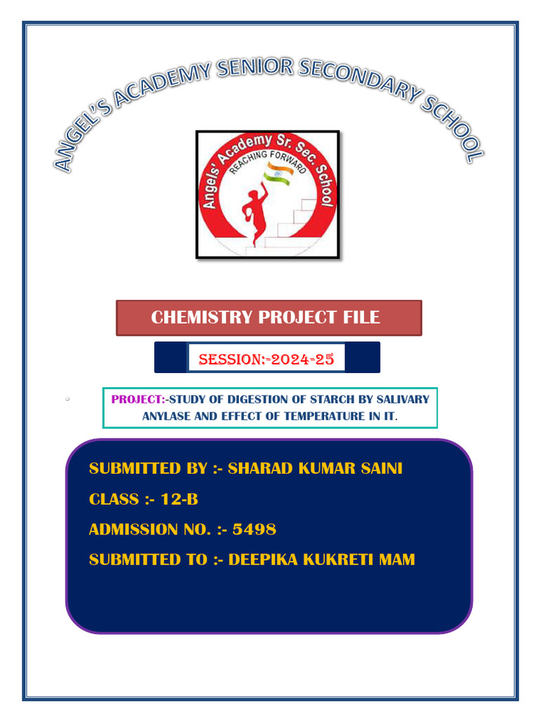 Chemistry Project File | PDF