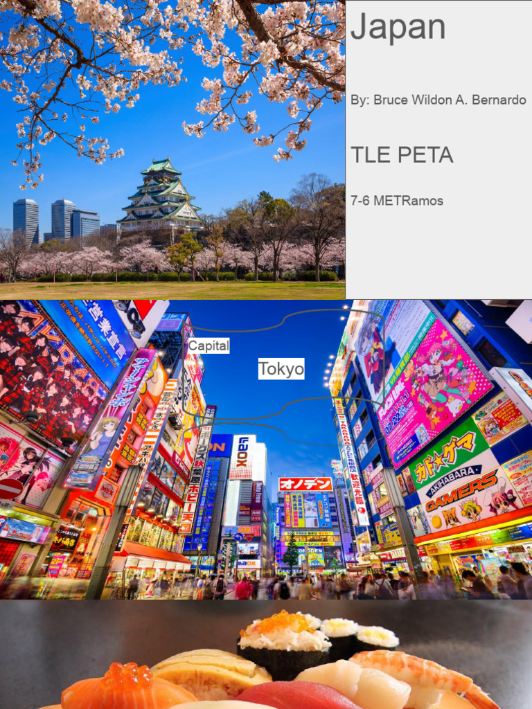 7-6 METRamos - Bruce Wildon A. Bernardo - TLE PETA | PDF