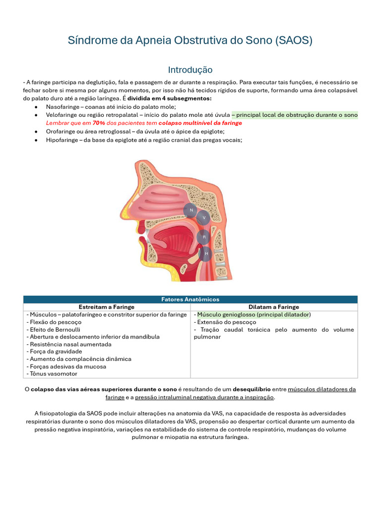 Síndrome Da Apneia Obstrutiva Do Sono - Resumo | PDF | Ronco | Sistema respiratório