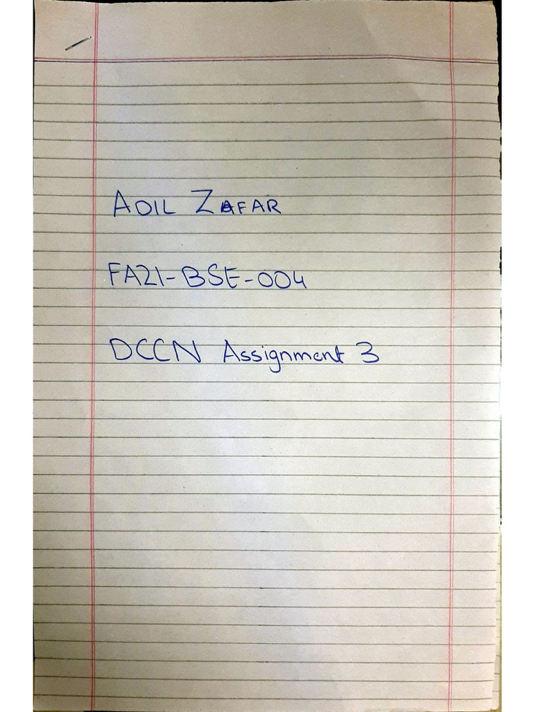 DCCN Assignment | PDF
