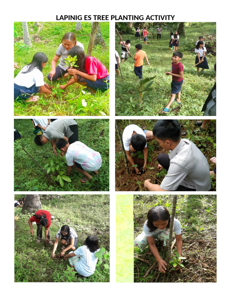LAPINIG-ES-TREE-PLANTING-ACTIVITY | PDF