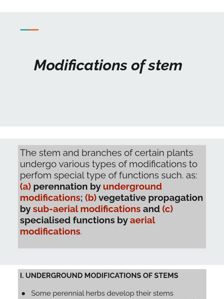 Modifications of Stem | PDF | Plants | Plant Morphology
