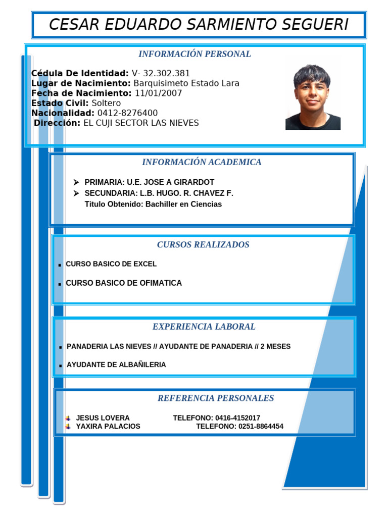 Curriculo CESAR EDUARDO SARMIENTO SEGUERI | PDF