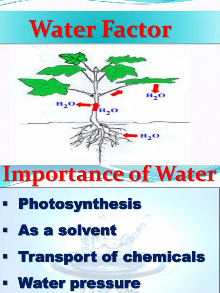 Water As Ecological Factor | PDF