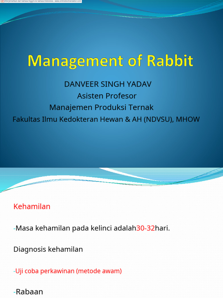 Management-of-Rabbit en Id | PDF