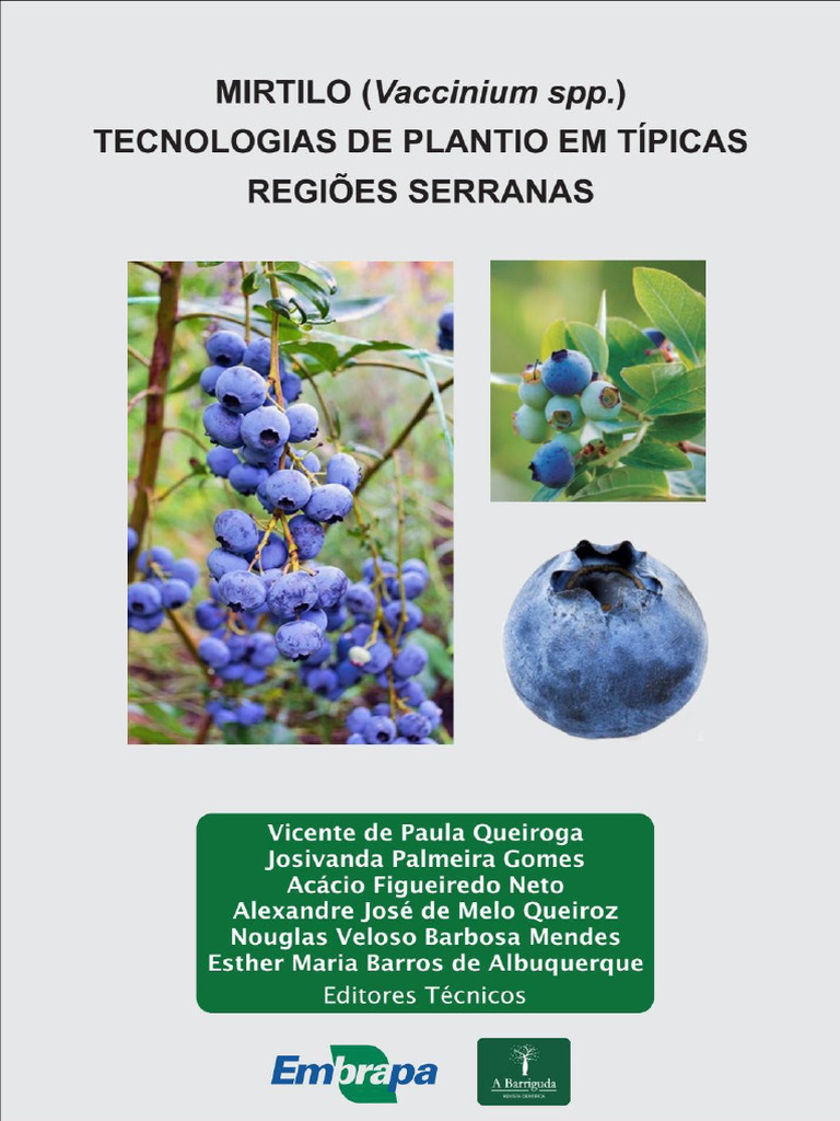 Mirtilo Vaccinium SPP Tecnologias de Plantio em Tipicas Regioes ...