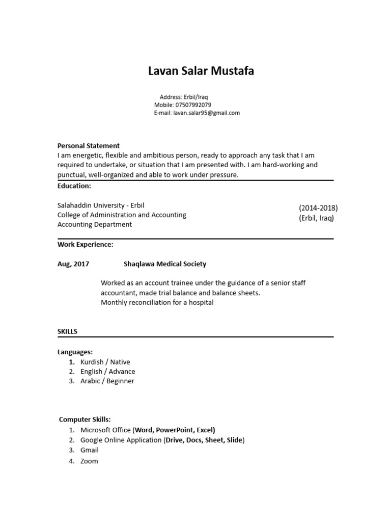 Lavan Salar MustafaCV | PDF