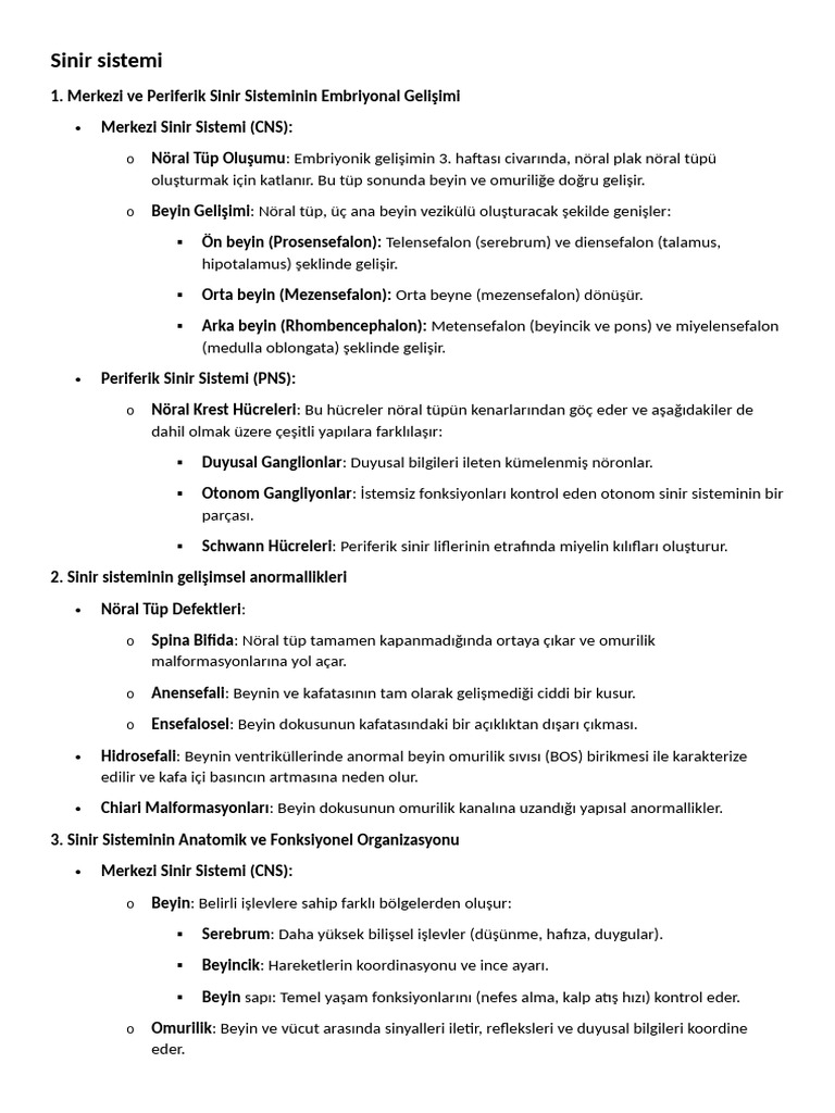Sinir Sistemi | PDF