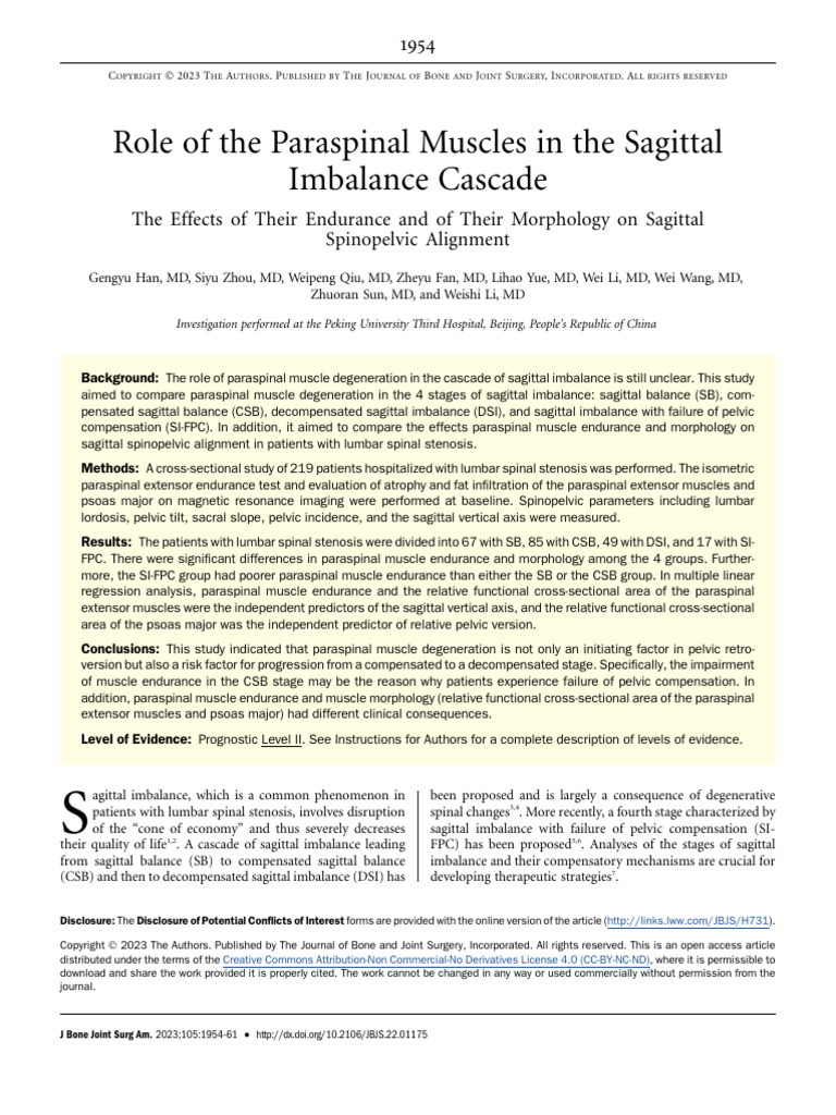 Role of The Paraspinal Muscles in The Sagittal.4 | PDF | Back Pain | Pelvis