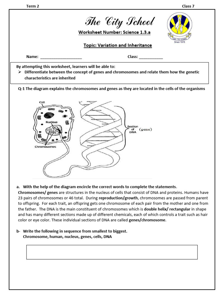 Science Worksheet: Variation & Inheritance | PDF | Science ...