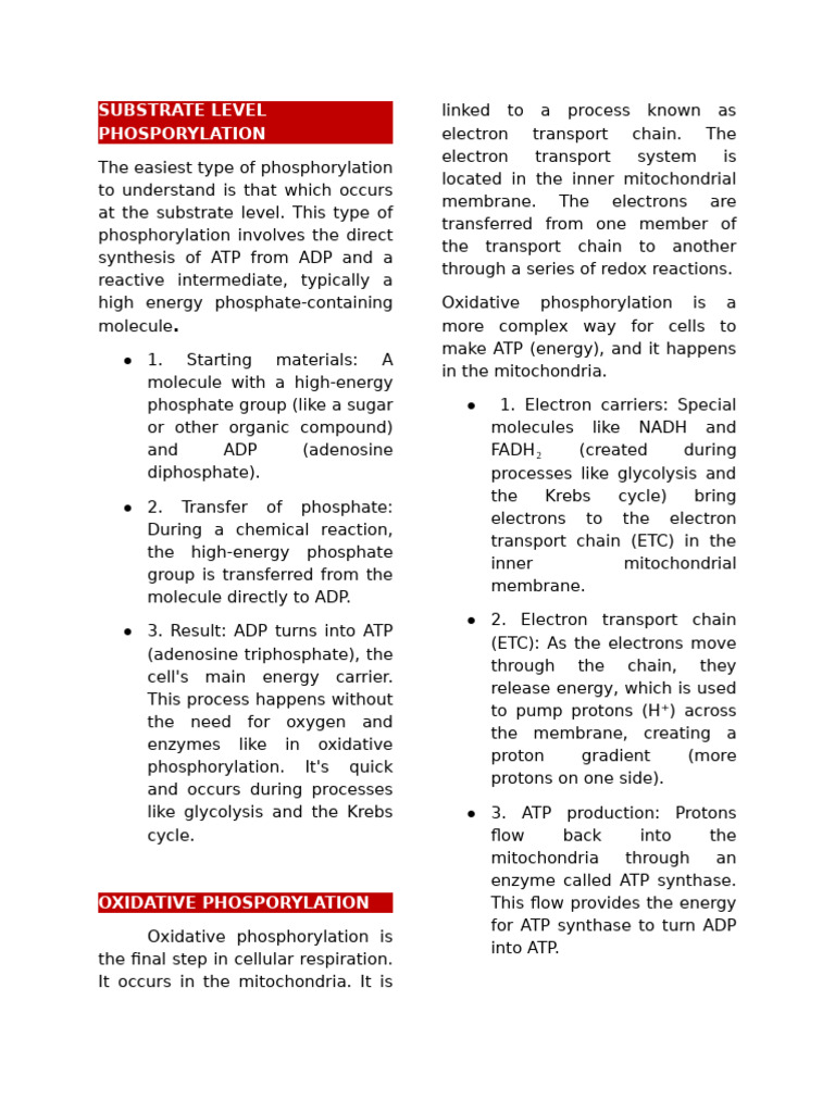MECHANISM OF ATP | PDF | Adenosine Triphosphate | Adenosine Diphosphate