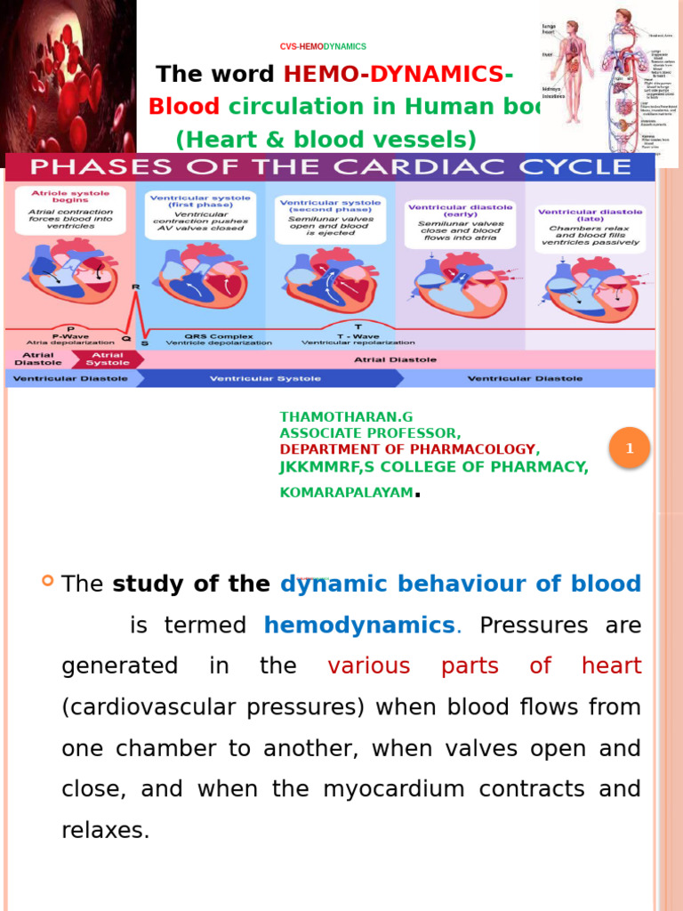1.1a CVS-Haemodynamics & Electrophysiology of Heart | PDF | Heart | Electrophysiology