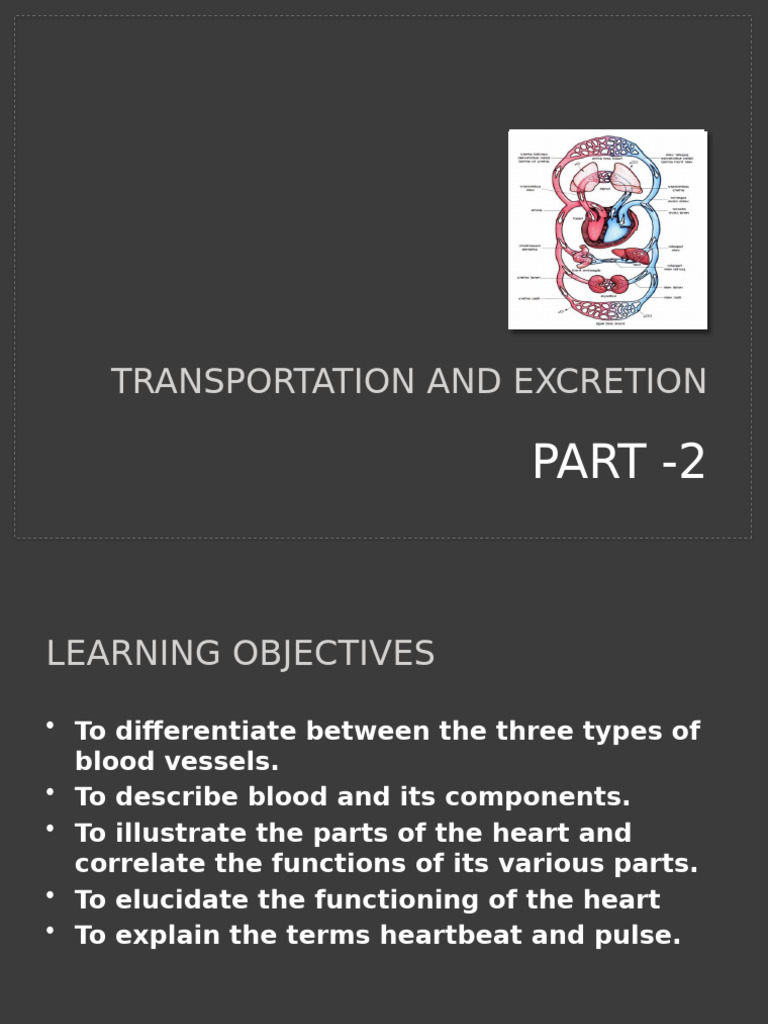 TRANSPORTATION | PDF | Heart | Atrium (Heart)