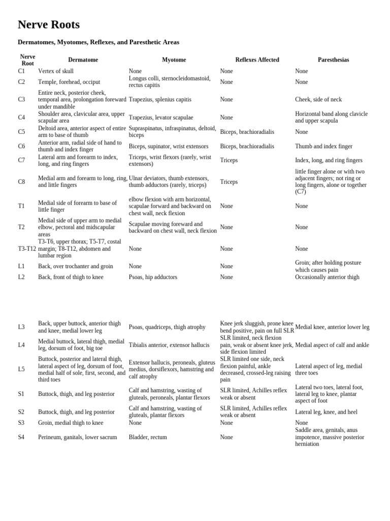 Nerve Roots | PDF | Human Leg | Arm