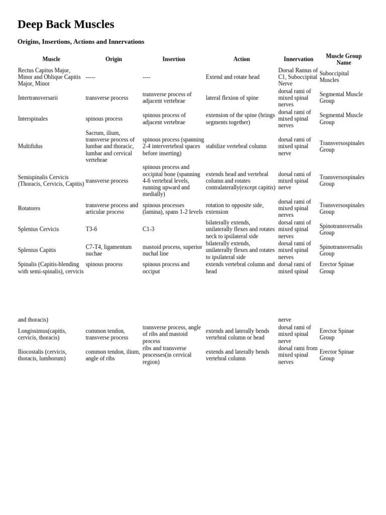 Deep Back Muscles O,I,A,I | PDF | Vertebra | Vertebral Column
