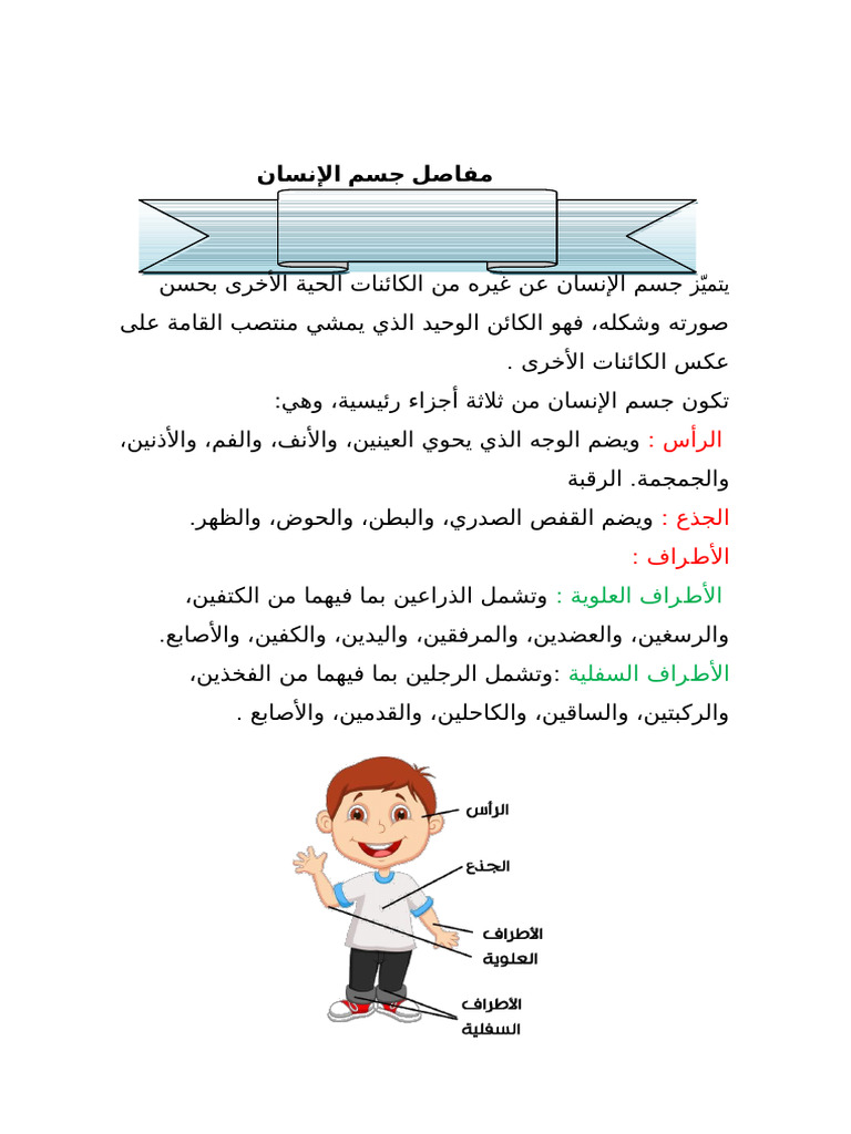Adel 2 | PDF