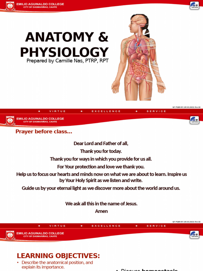 Anatomy & Physiology Overview | PDF | Membrane Potential | Depolarization