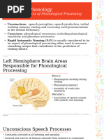 LETRS Phonics and Word Reading Survey | PDF | Phonics | Syllable