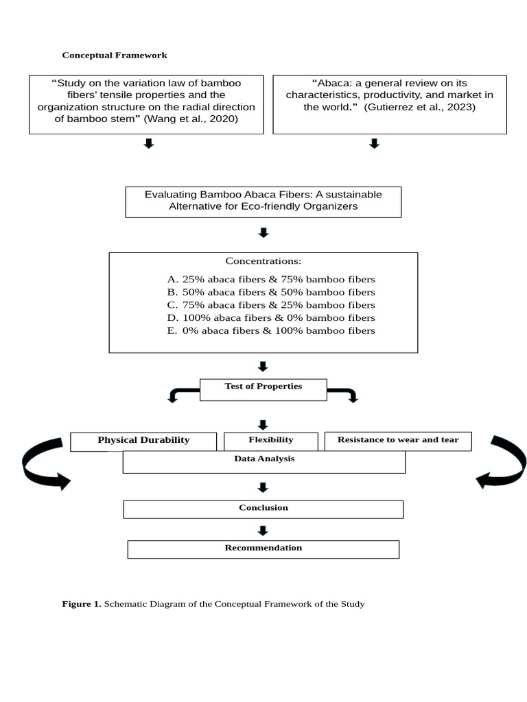 Conceptual Framework FINAL EDIT1 | PDF | Fibers | Cell Wall