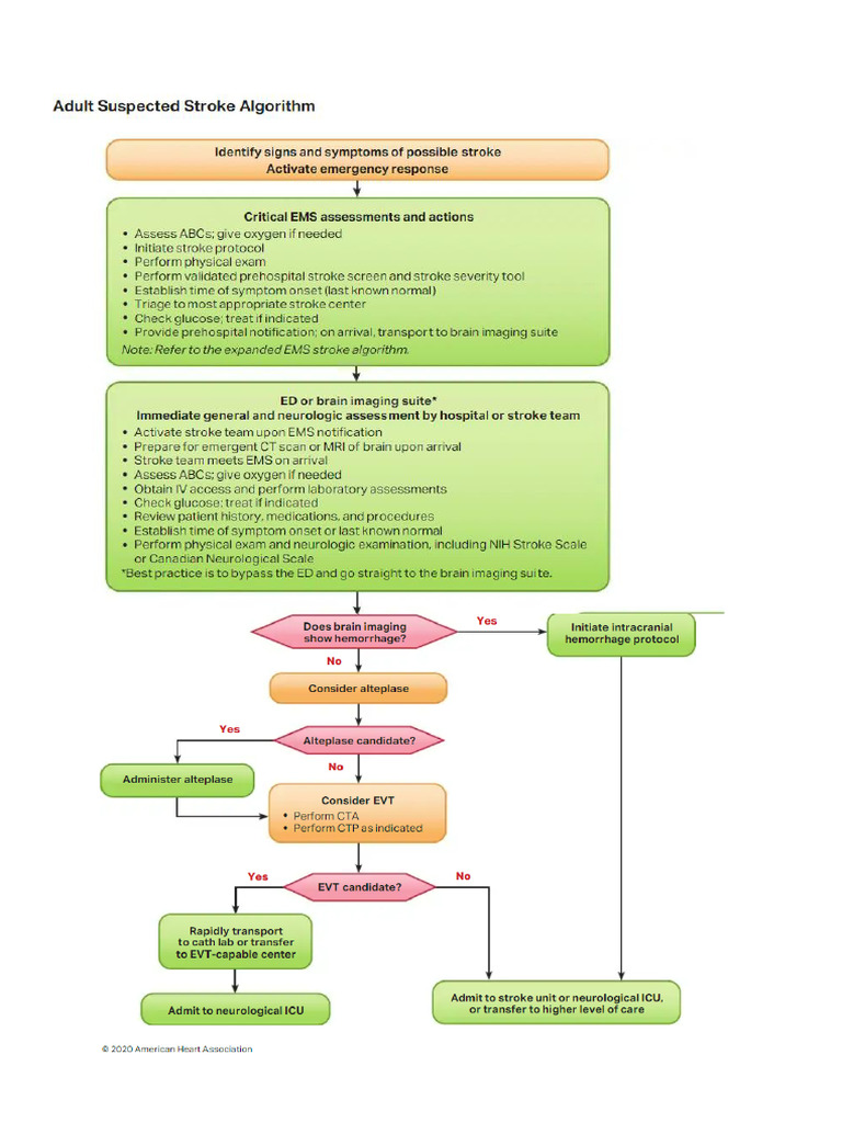 Asls 1 Algorithm | PDF