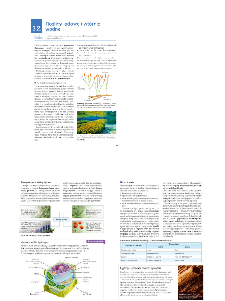 1Tp - Roz Biol. Stopa Sr. | PDF