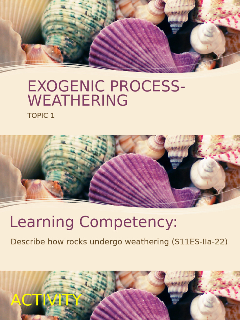 EXOGENIC PROCESS- WEATHERING | PDF