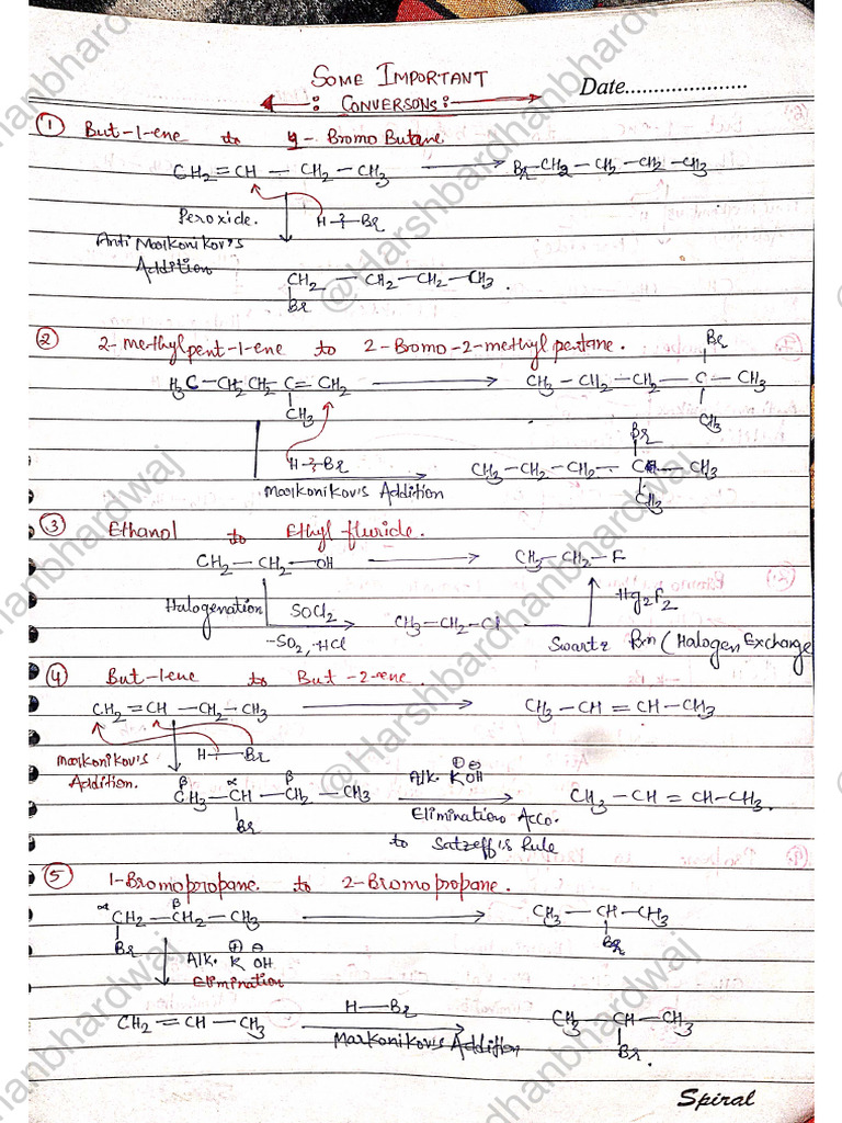 Important Paragraph Type Questions | PDF