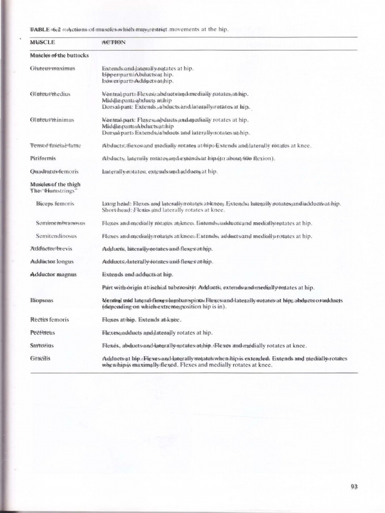 Muscle Stretching 3 (094-142) | PDF