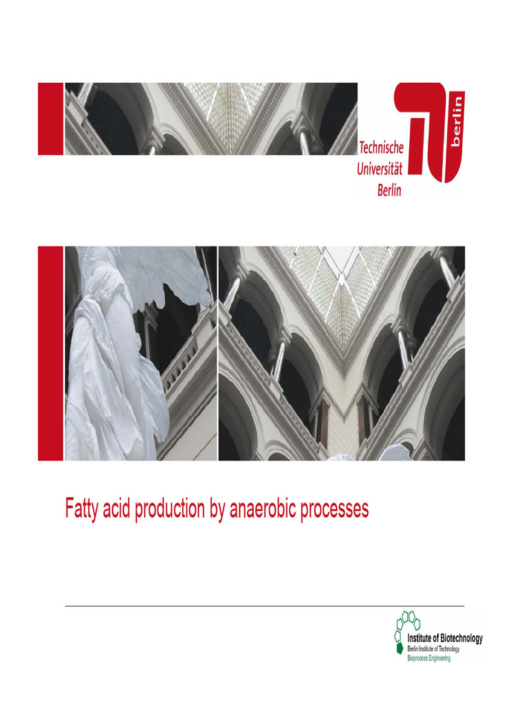 Anaerobic Fatty Acid Production Methods | PDF | Biopolymer | Lactic Acid