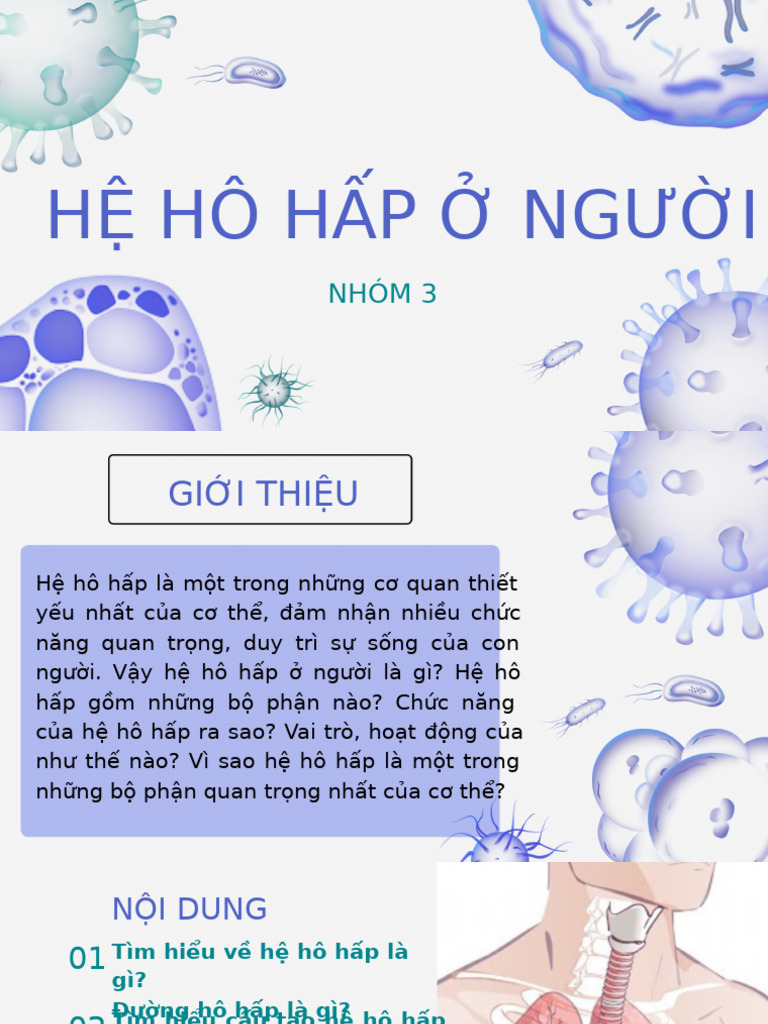 Nhóm 3 | PDF