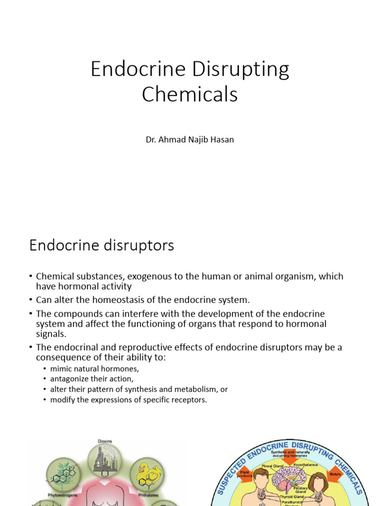 Endocrine Disruptors: Impact and Sources | PDF | Endocrine System