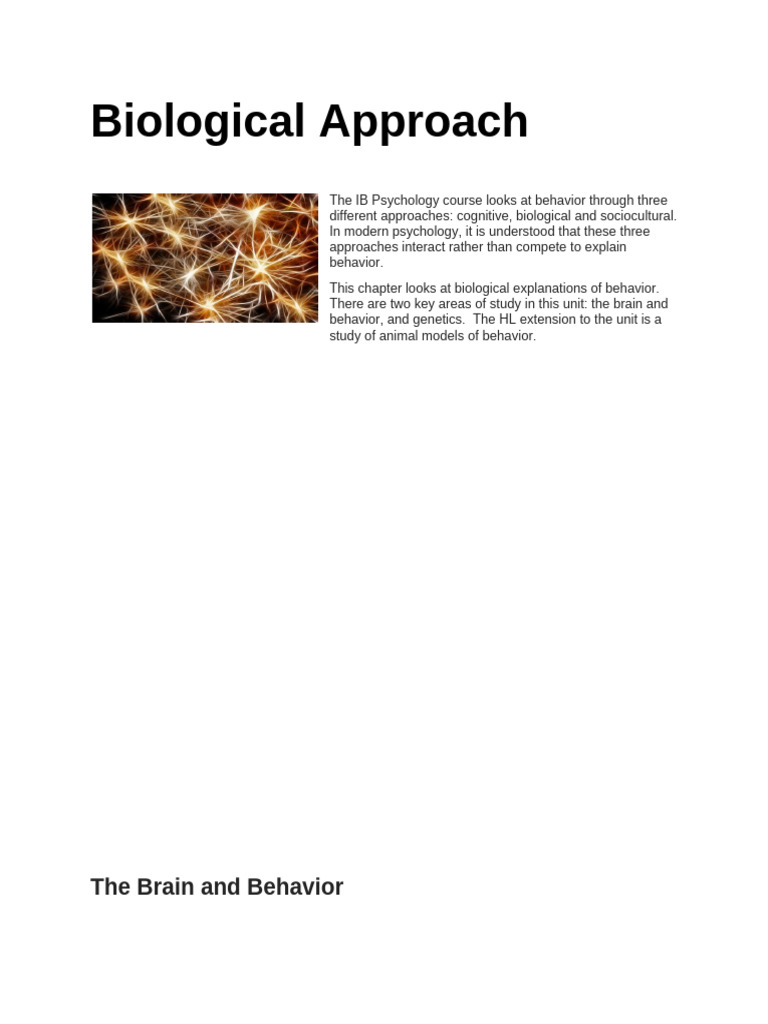 Unit 3 - Biological Approach | PDF | Neurotransmitter | Functional ...