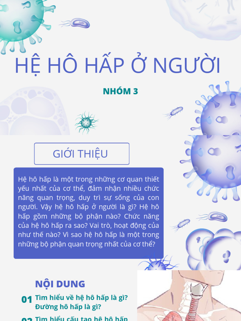 Blue and White Professional Science Project Presentation - 20240918 ...