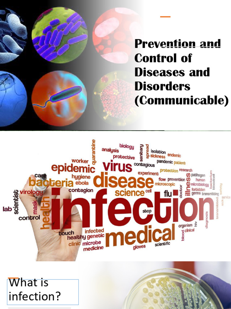 Communicable Diseases | PDF