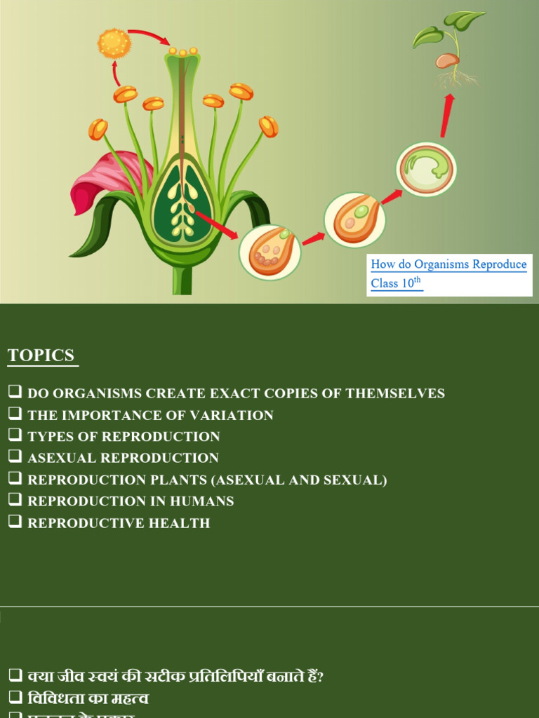 HOW DO ORGANISMS REPRODUCE PO (1) (4) | PDF