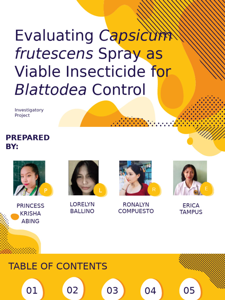 Investigatory Project Ppt 1 | PDF | Capsicum | Chili Pepper