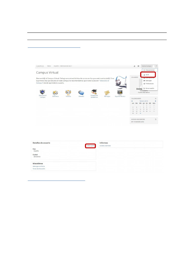 Práctica1 - Español | PDF