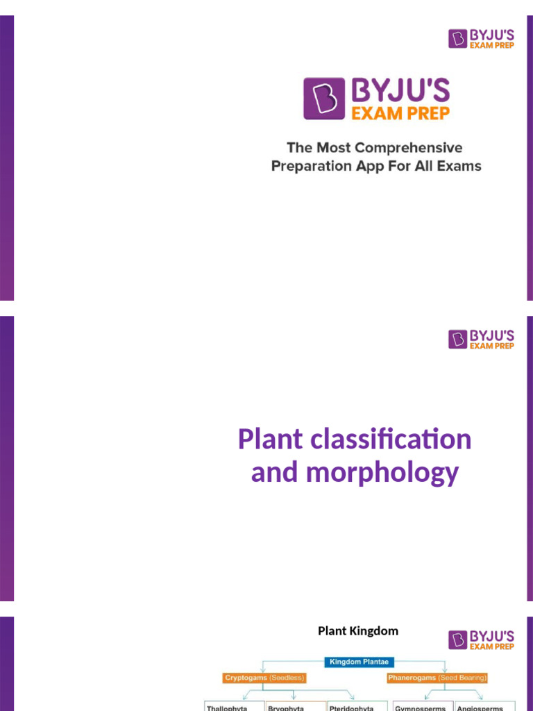 5.1 Plant-Classification-And-Morphology-Of-Angiosperms 06.04.2023 | PDF | Leaf | Plants