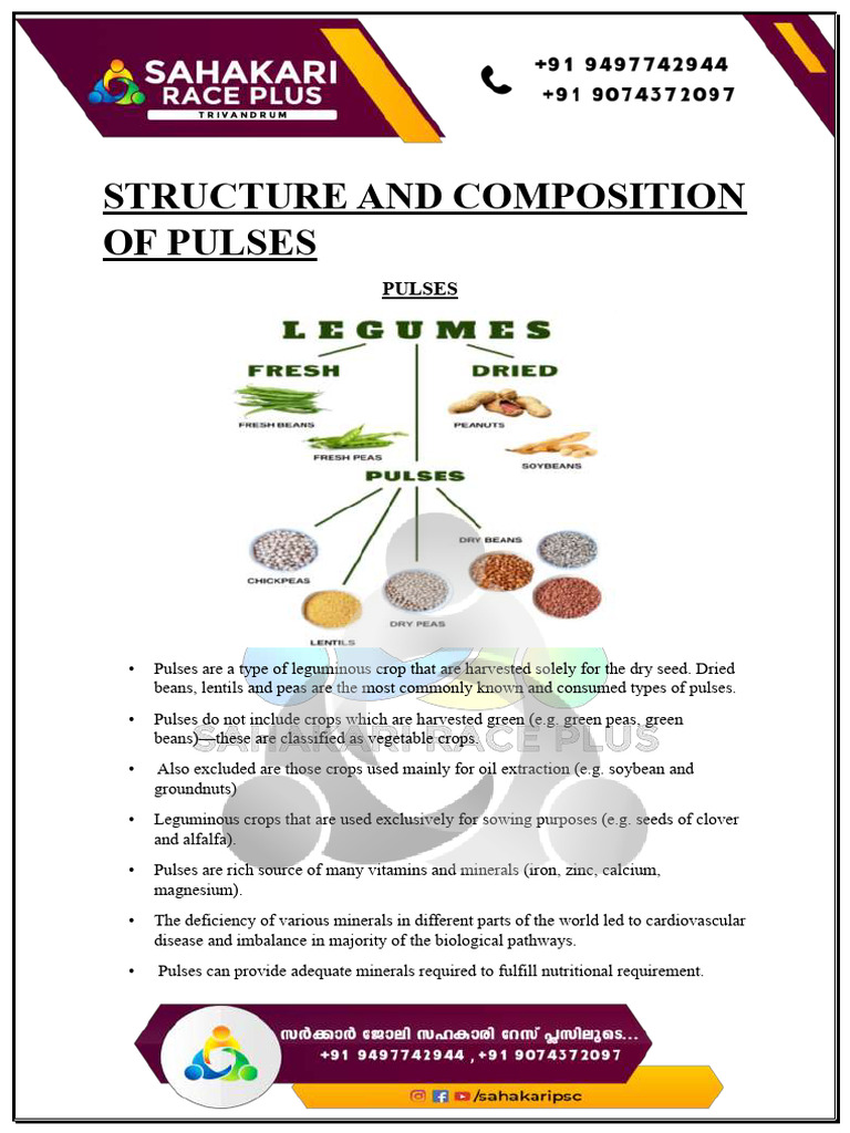 Composition and Structure of Pulses Notes | PDF | Legume | Bean